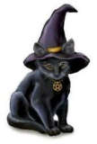 CHATS-LE CHAT DE LA SORCIERE - chat de sorciere